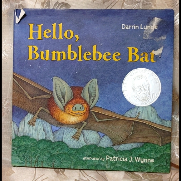 Toys | Hello Bumblebee Bat Hardcover Book | Poshmark